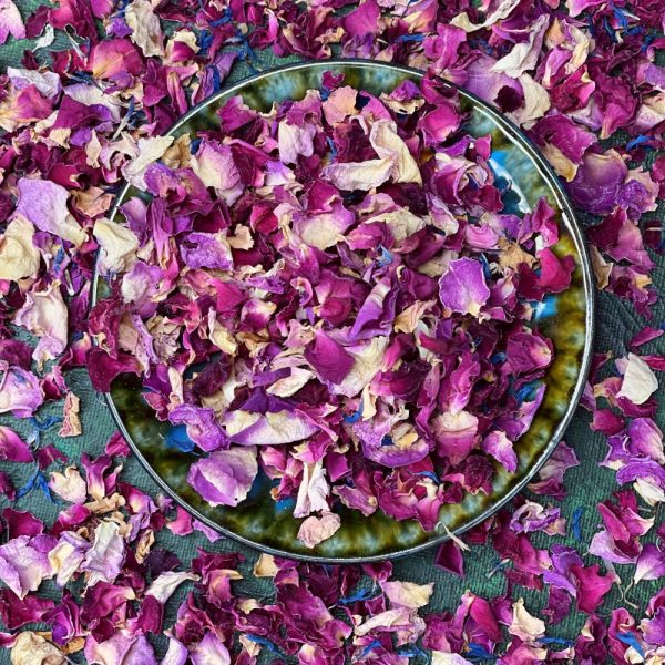 Edible ‘Enchanted Forest’ Flower Petal Mix 5g - Kitchen Jukebox